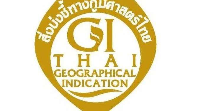 Conversion from Patent to Petty Patent and vice versa - TMP Intellectual Property